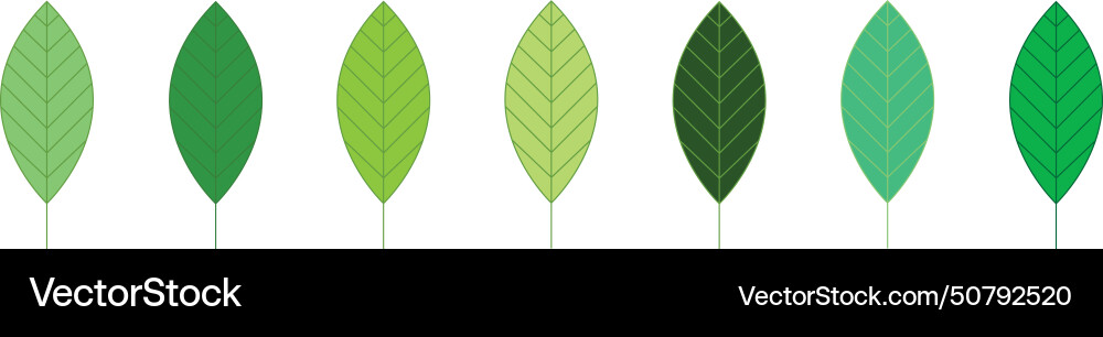 Spring leaves colors gradient collection Vector Image