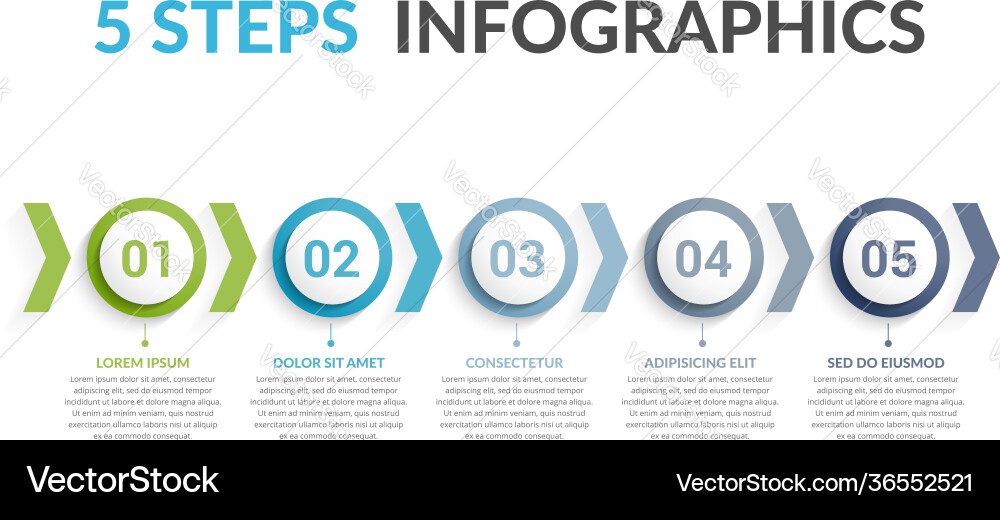 5 steps infographics Royalty Free Vector Image
