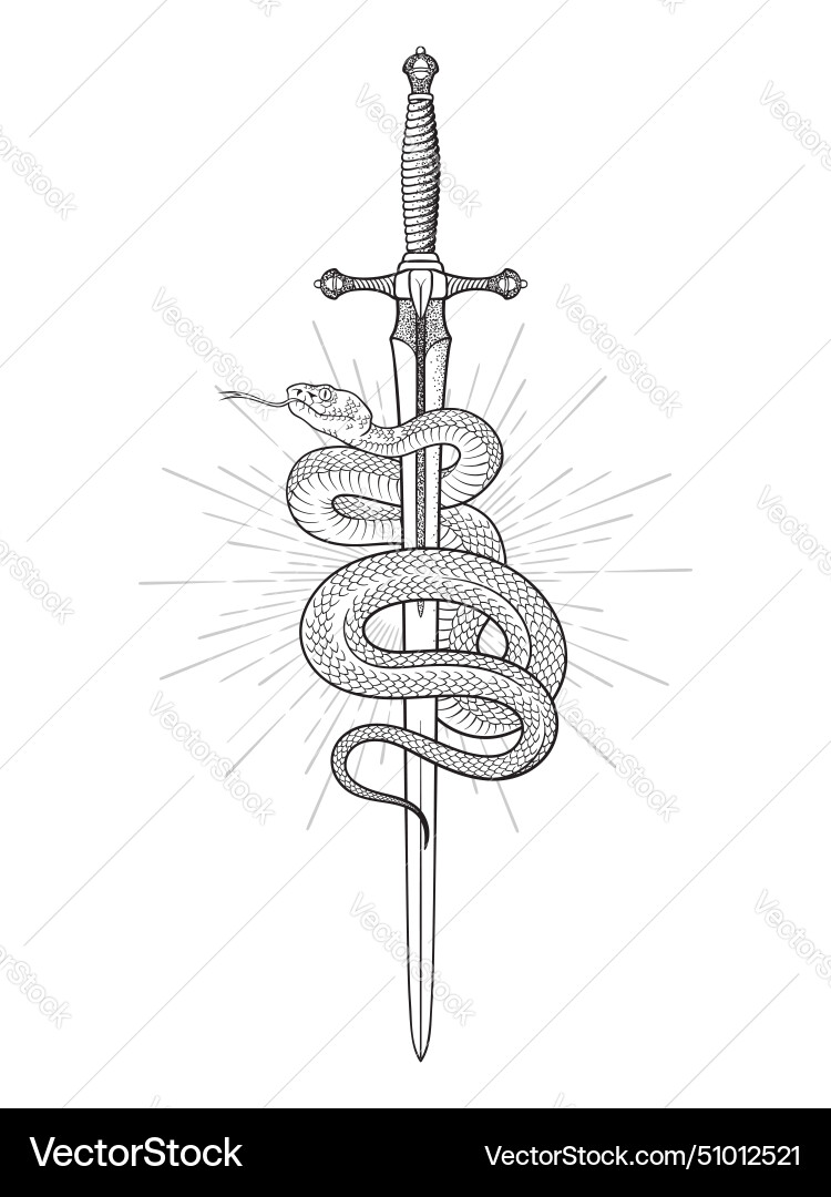 Antique ornate sword and snake with sunburst Vector Image