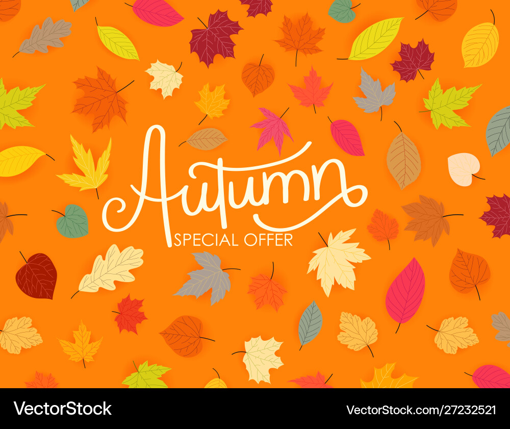 Autumn special offer color fall leaves Royalty Free Vector