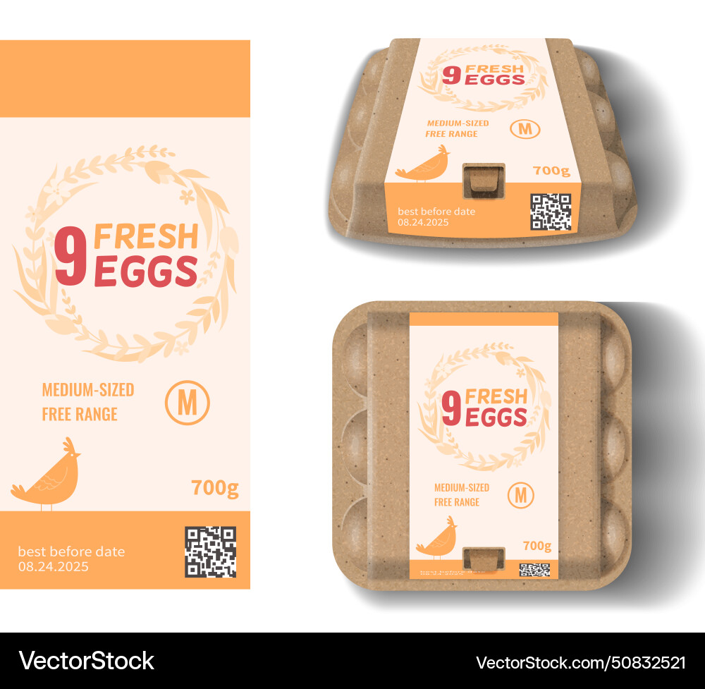Chicken eggs package Royalty Free Vector Image