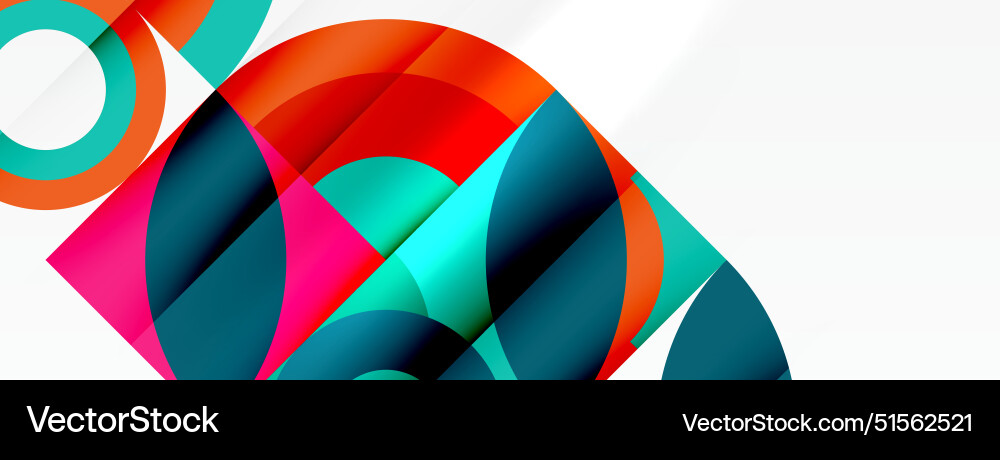 Circles and petals geometric beautiful abstract Vector Image