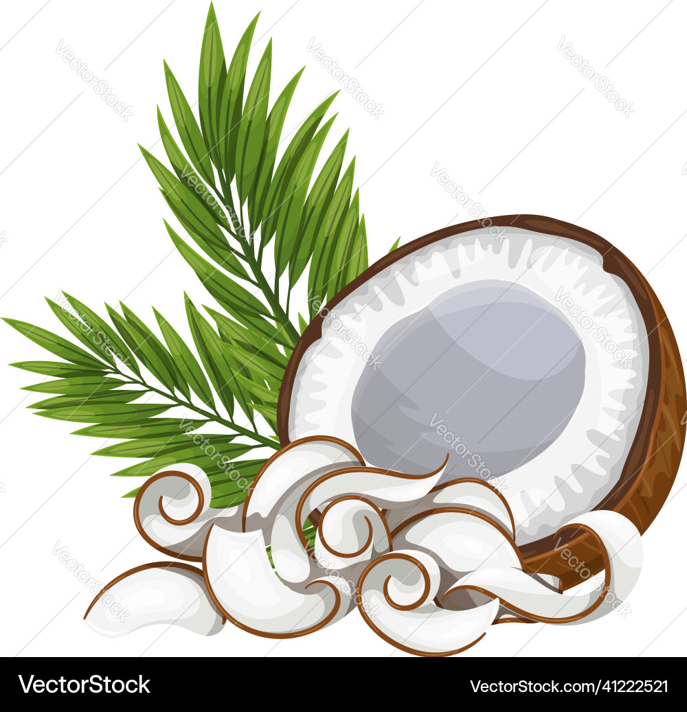 Coconut shavings and half Royalty Free Vector Image