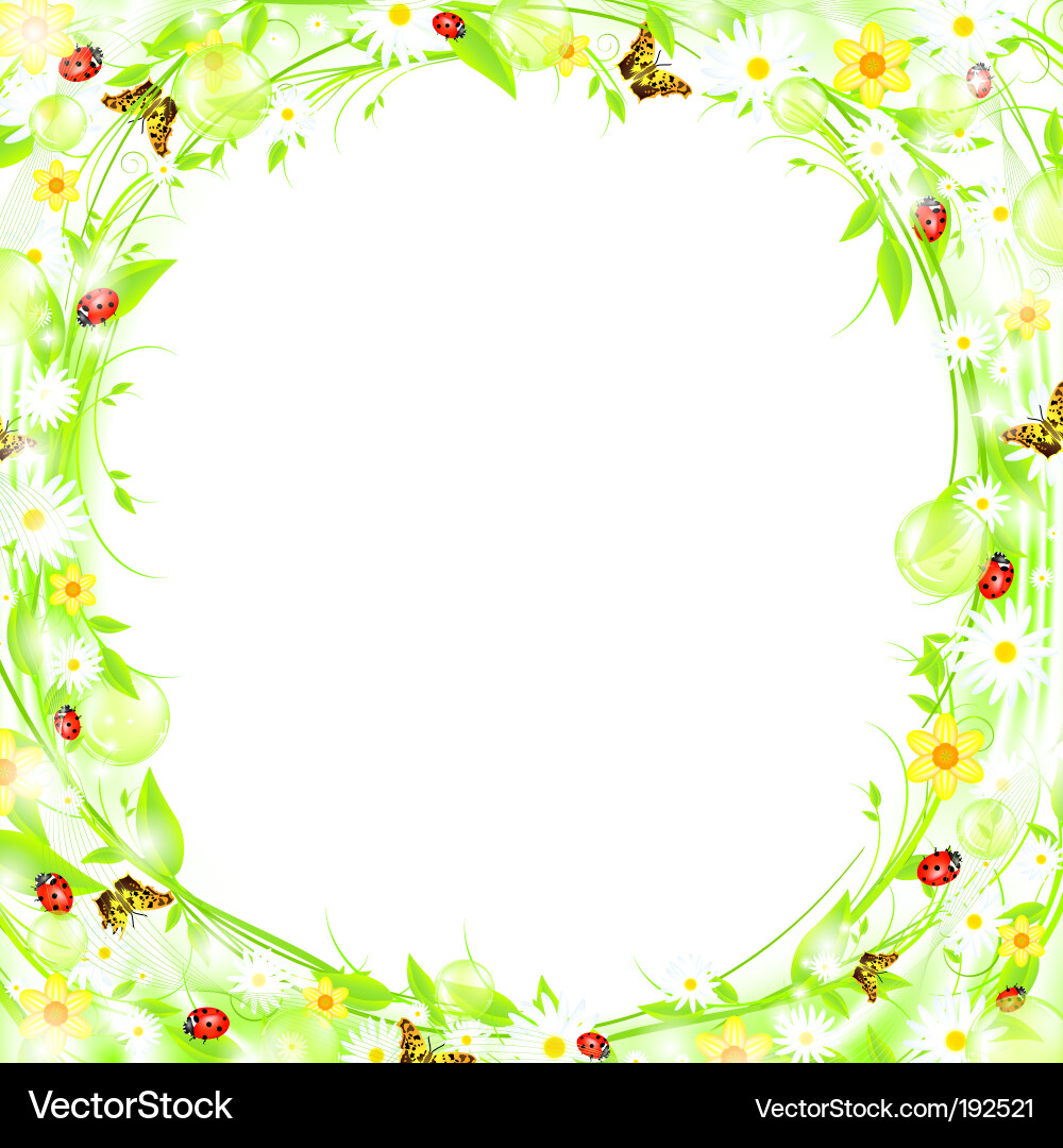 Floral Summer Frame Royalty Free Vector Image - VectorStock