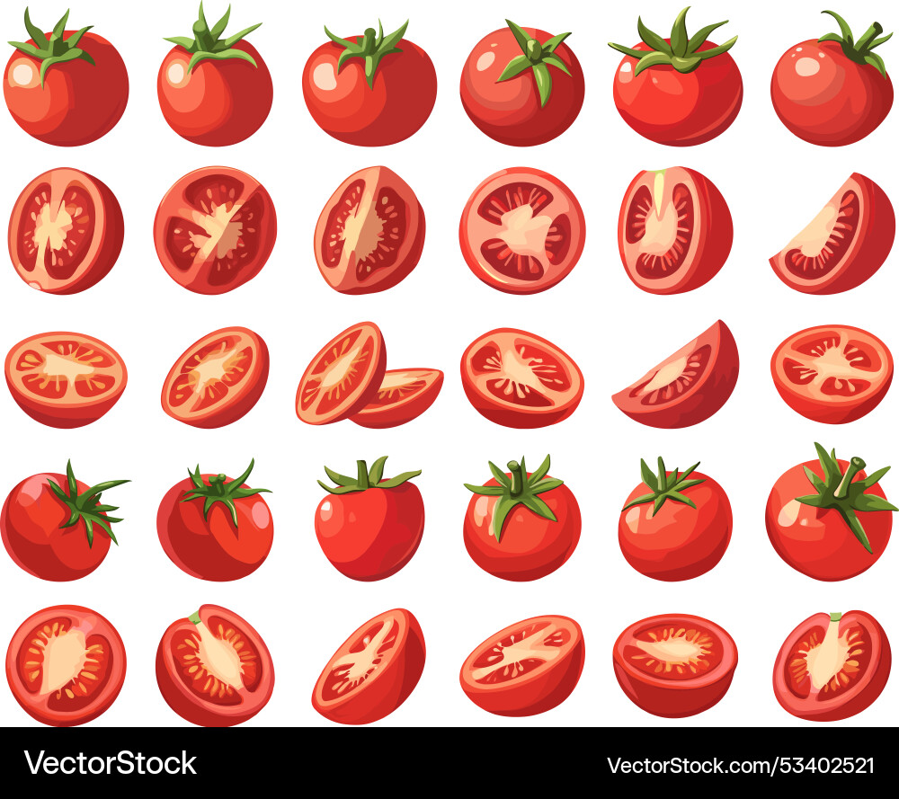 Tomatoes red tomato vegetable food agriculture Vector Image