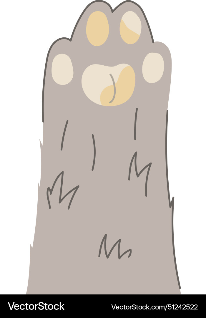 Animal cat paw cartoon Royalty Free Vector Image