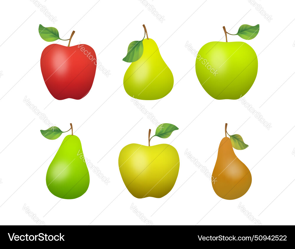 Apples and pears Royalty Free Vector Image - VectorStock