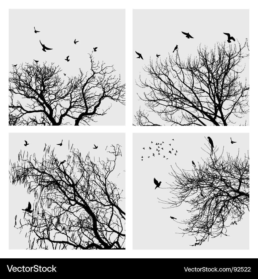 Branch collection Royalty Free Vector Image - VectorStock