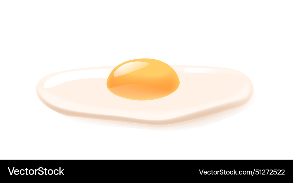 Cracked egg showcasing a vivid intact yolk Vector Image