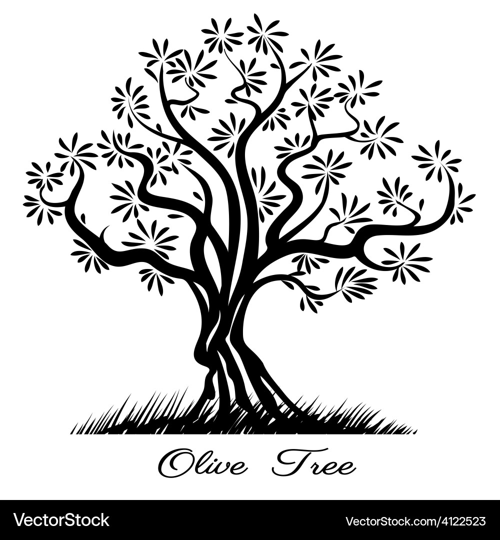 Olive tree silhouette Royalty Free Vector Image