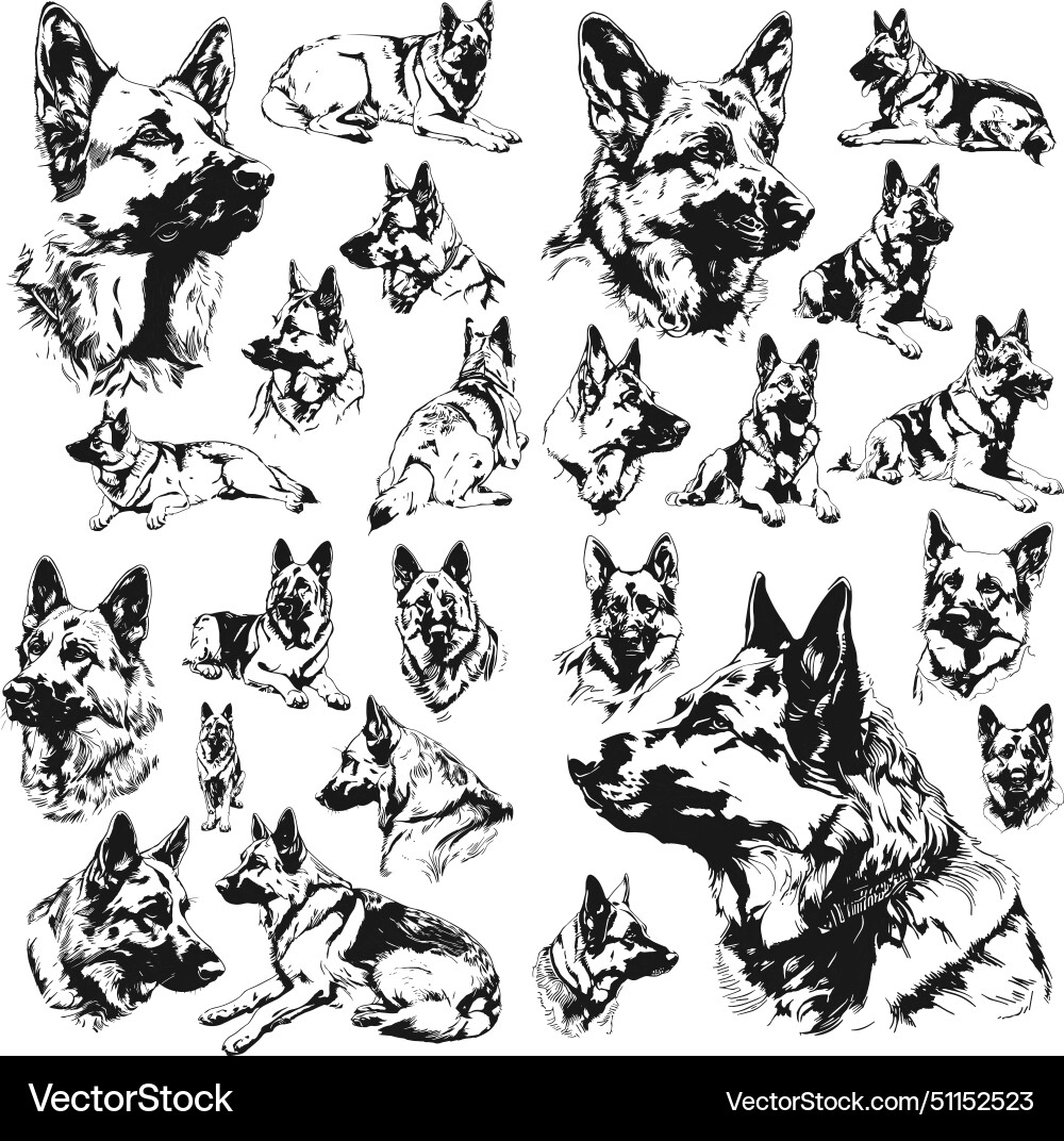 Shepherd dog pencil sketch collection Royalty Free Vector