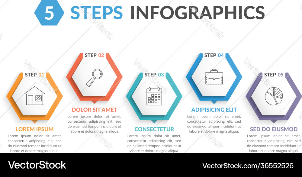 5 steps infographics Royalty Free Vector Image