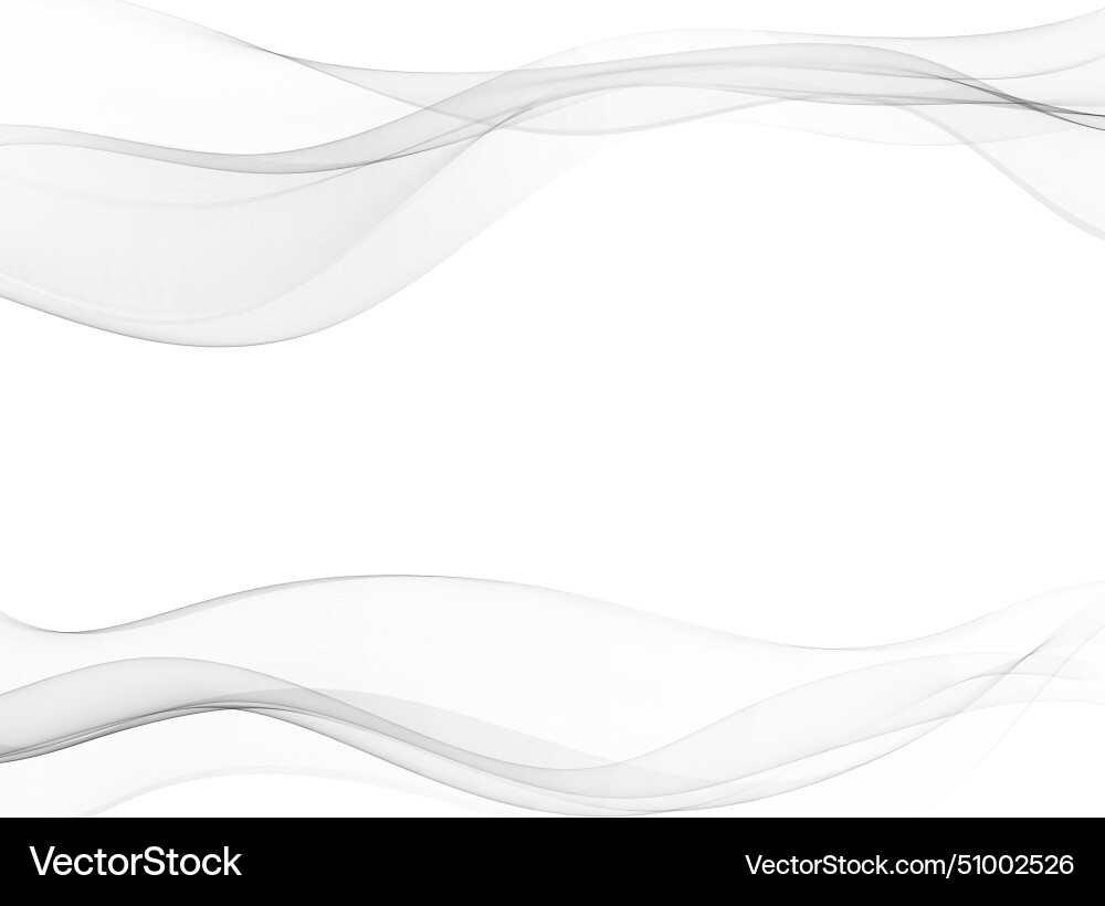Gray wavy abstract backgroundtransparent gray Vector Image
