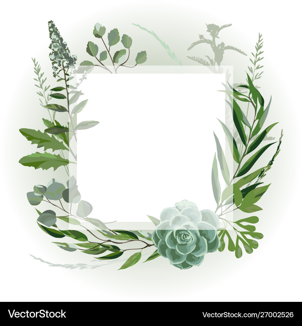 Wedding herbal frame Royalty Free Vector Image