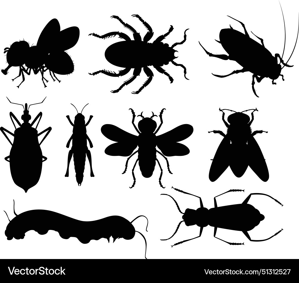 Collection Of Different Insect Silhouettes Vector Image
