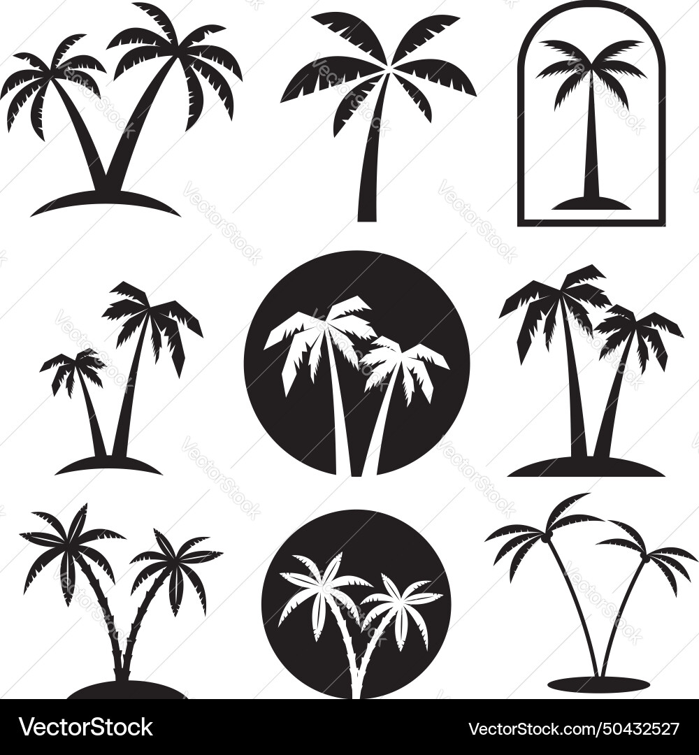 Set of palm tree labels and design elements Vector Image