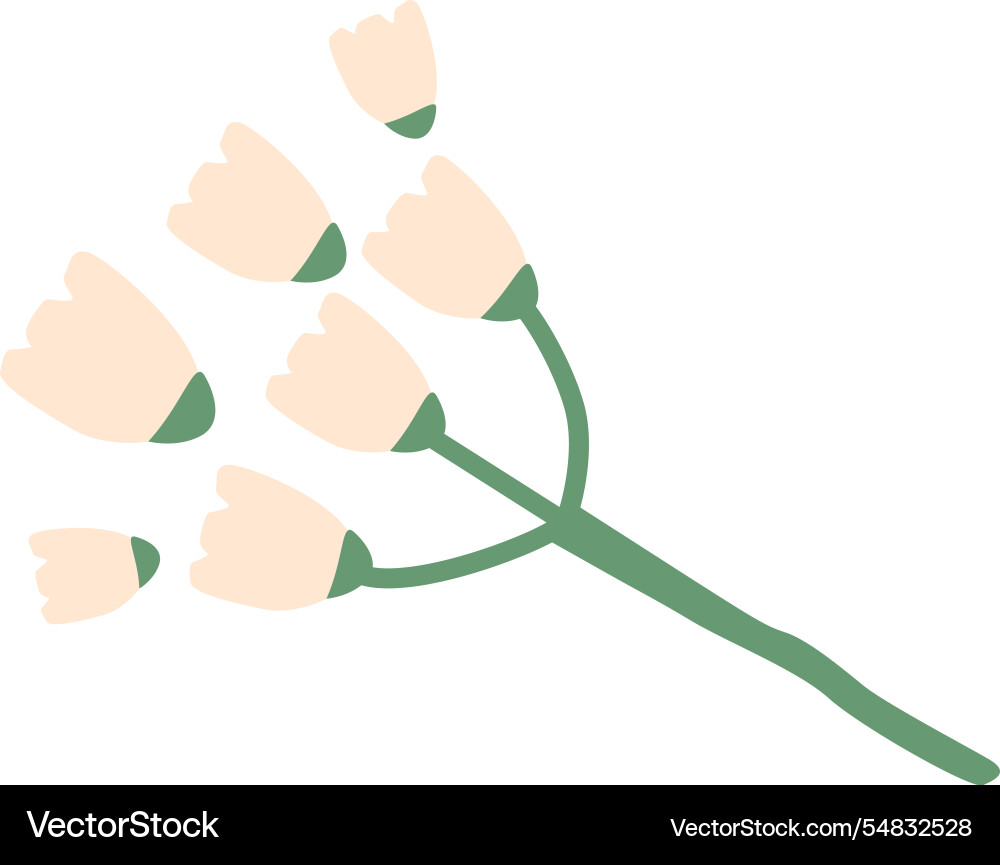 Flower blossoms on green stem Royalty Free Vector Image
