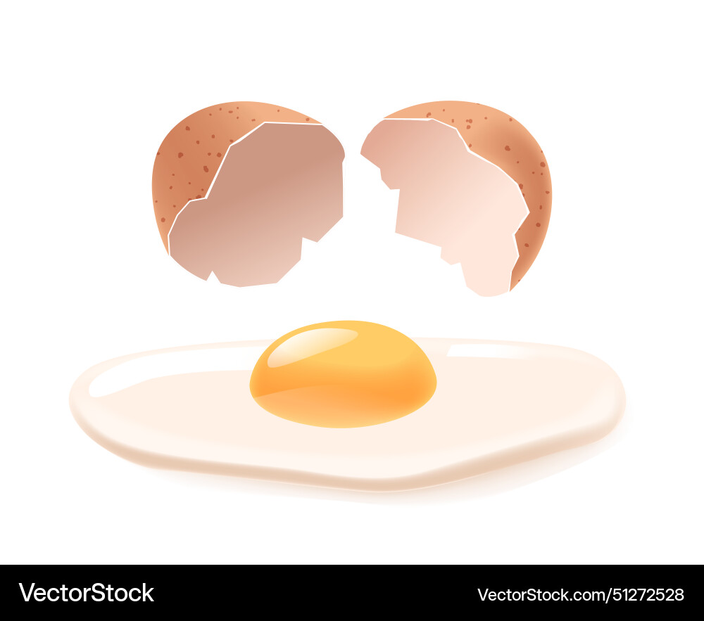 Eggshell Vector Images (over 15,000)