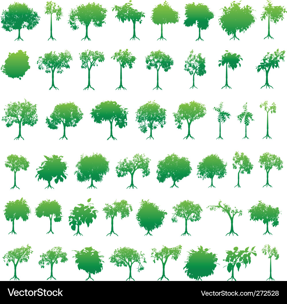 Trees Royalty Free Vector Image - VectorStock