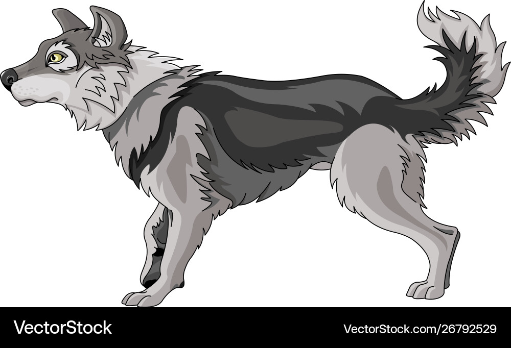 Wolf Royalty Free Vector Image - VectorStock
