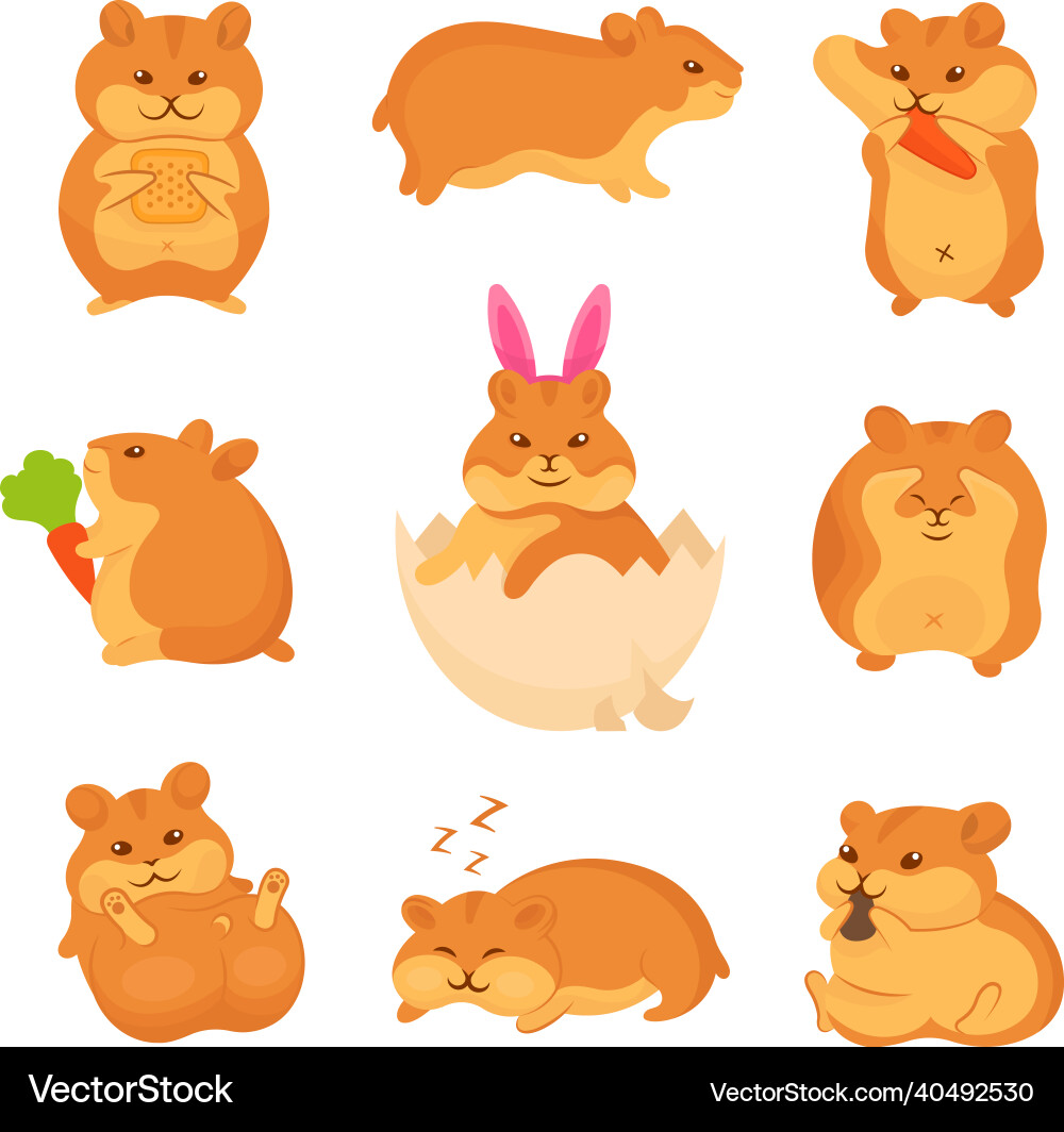 Easter Egg Hamster Vector Images (58)