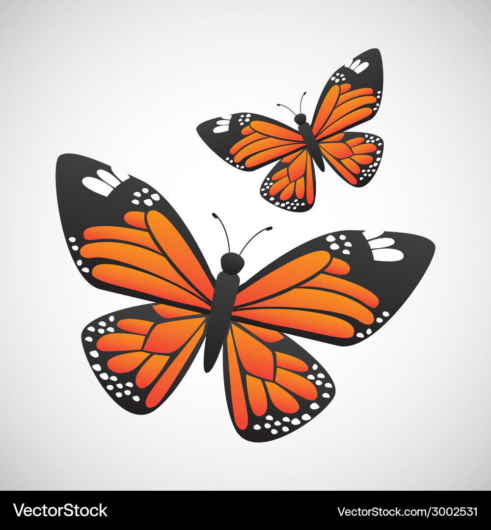 Butterfly design Royalty Free Vector Image - VectorStock