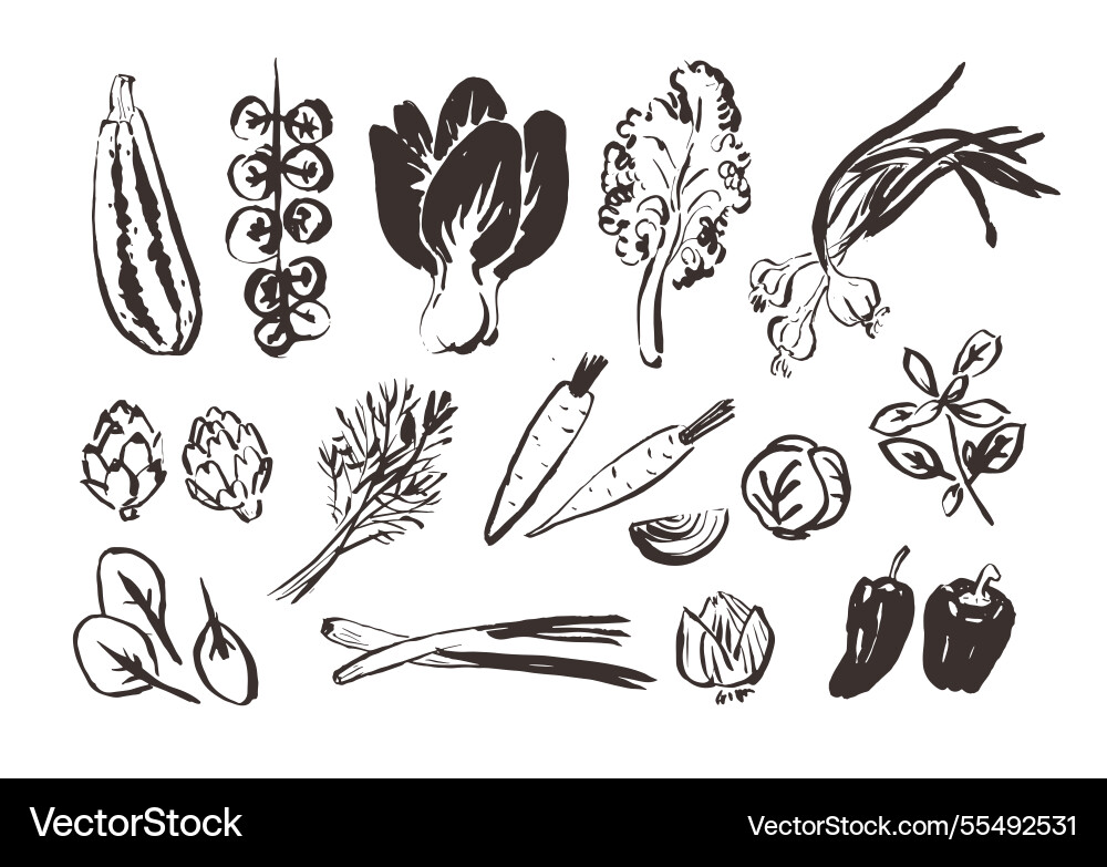 Spinach Doodle Vector Images (over 560)