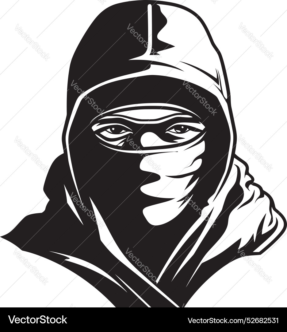 Midnight avenger masked portrait with icon Vector Image