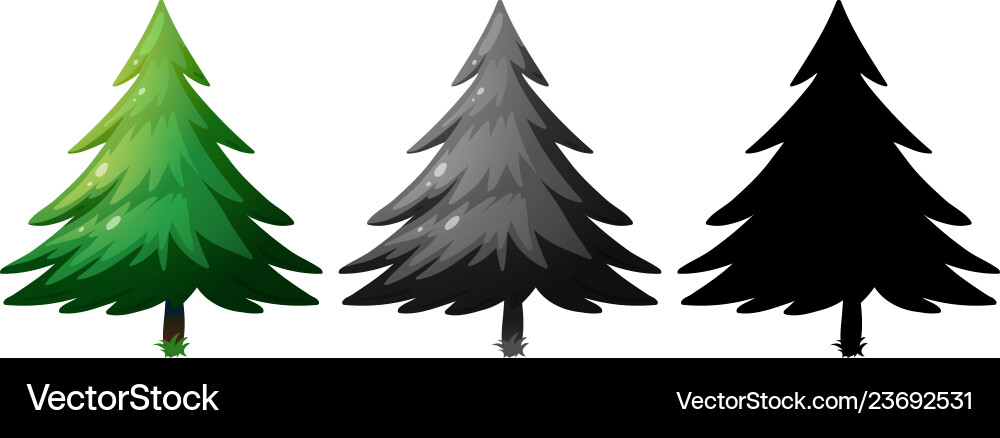 Set of pine tree Royalty Free Vector Image - VectorStock