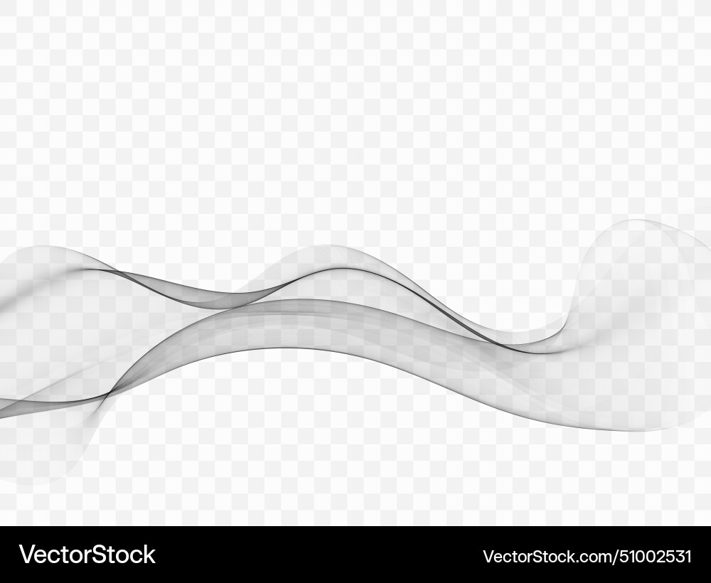 Transparent gray abstract wave wavy lines Vector Image