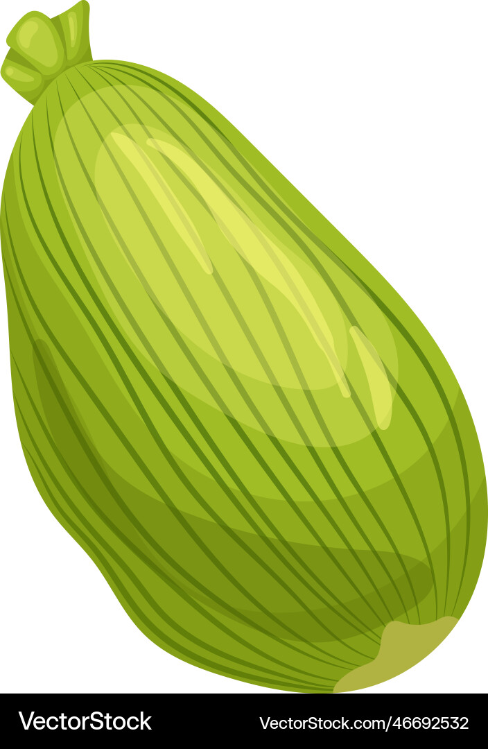 Cardamom green ingredient cartoon Royalty Free Vector Image