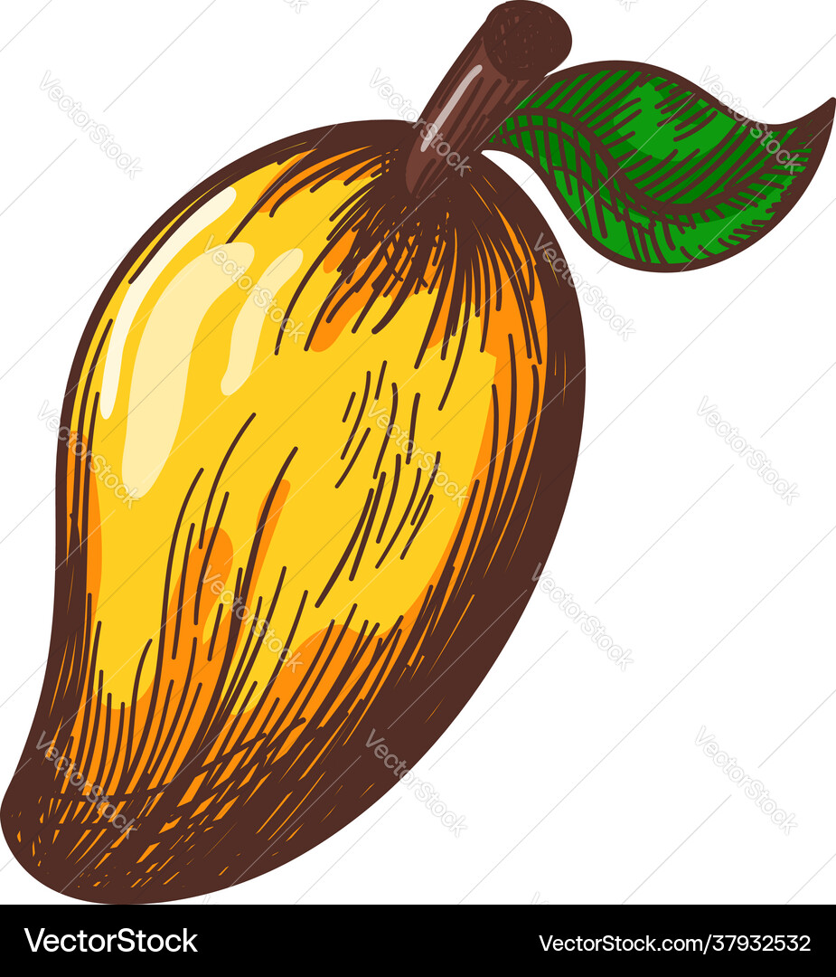 Icon mango Royalty Free Vector Image - VectorStock