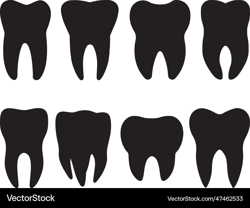 Teeth silhouette Royalty Free Vector Image - VectorStock