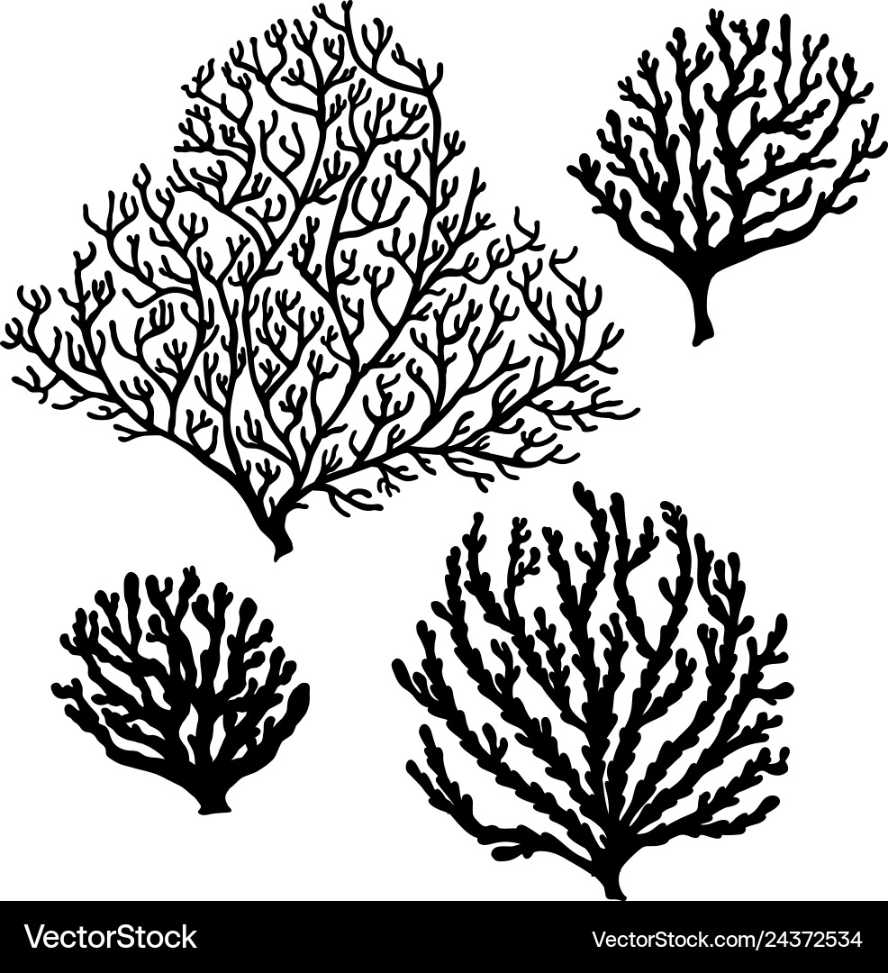 Black Coral Reef Silhouette Set Royalty Free Vector Image