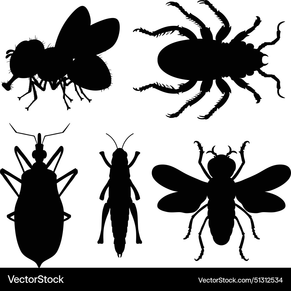 Black silhouettes of five different insects Vector Image