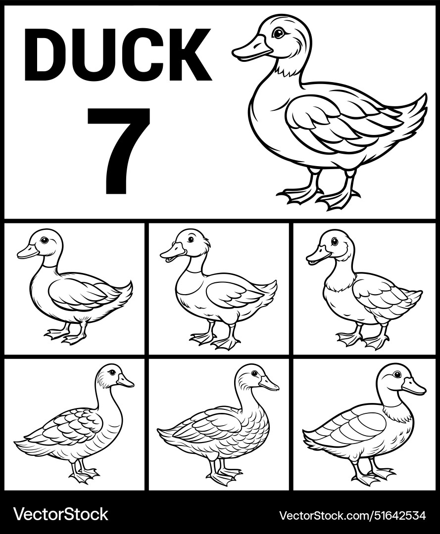 Duck outline set detailed Royalty Free Vector Image