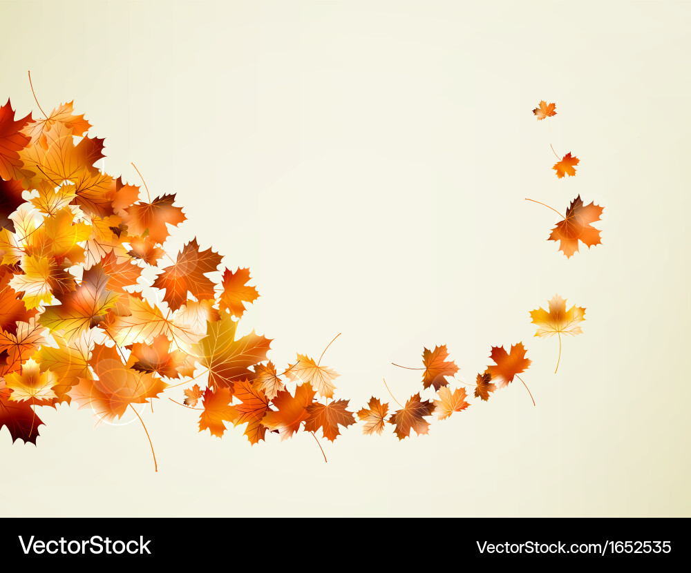 Autumn background template eps 10 Royalty Free Vector Image
