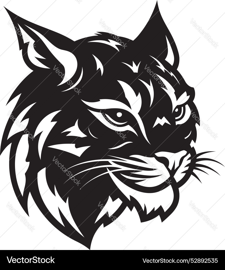 Bobcat design a wild predator animal in design Vector Image