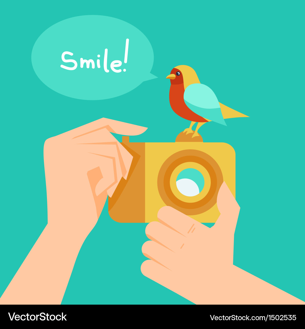 Digital camera and cartoon bird Royalty Free Vector Image
