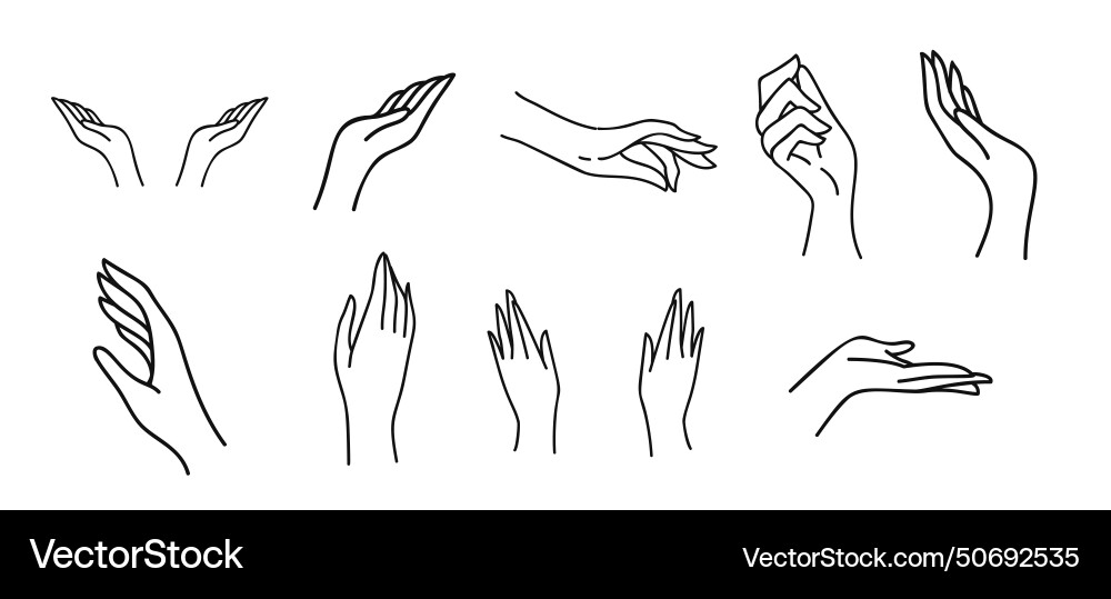 Hand line art design drawn Royalty Free Vector Image