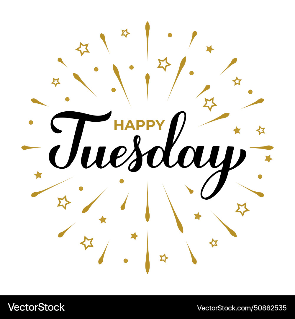 Happy tuesday calligraphy hand lettering Vector Image