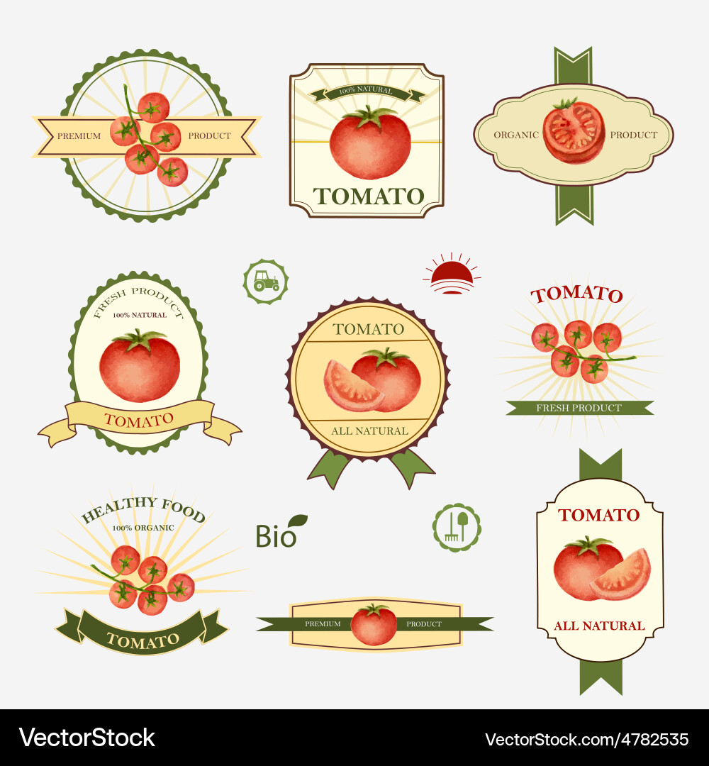 Tomato set of label design Royalty Free Vector Image