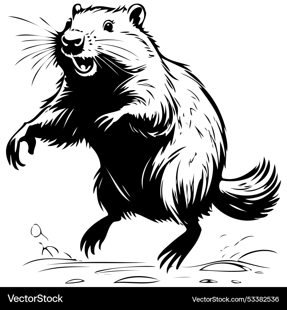 Realistic beaver jump hand drawn animal Royalty Free Vector