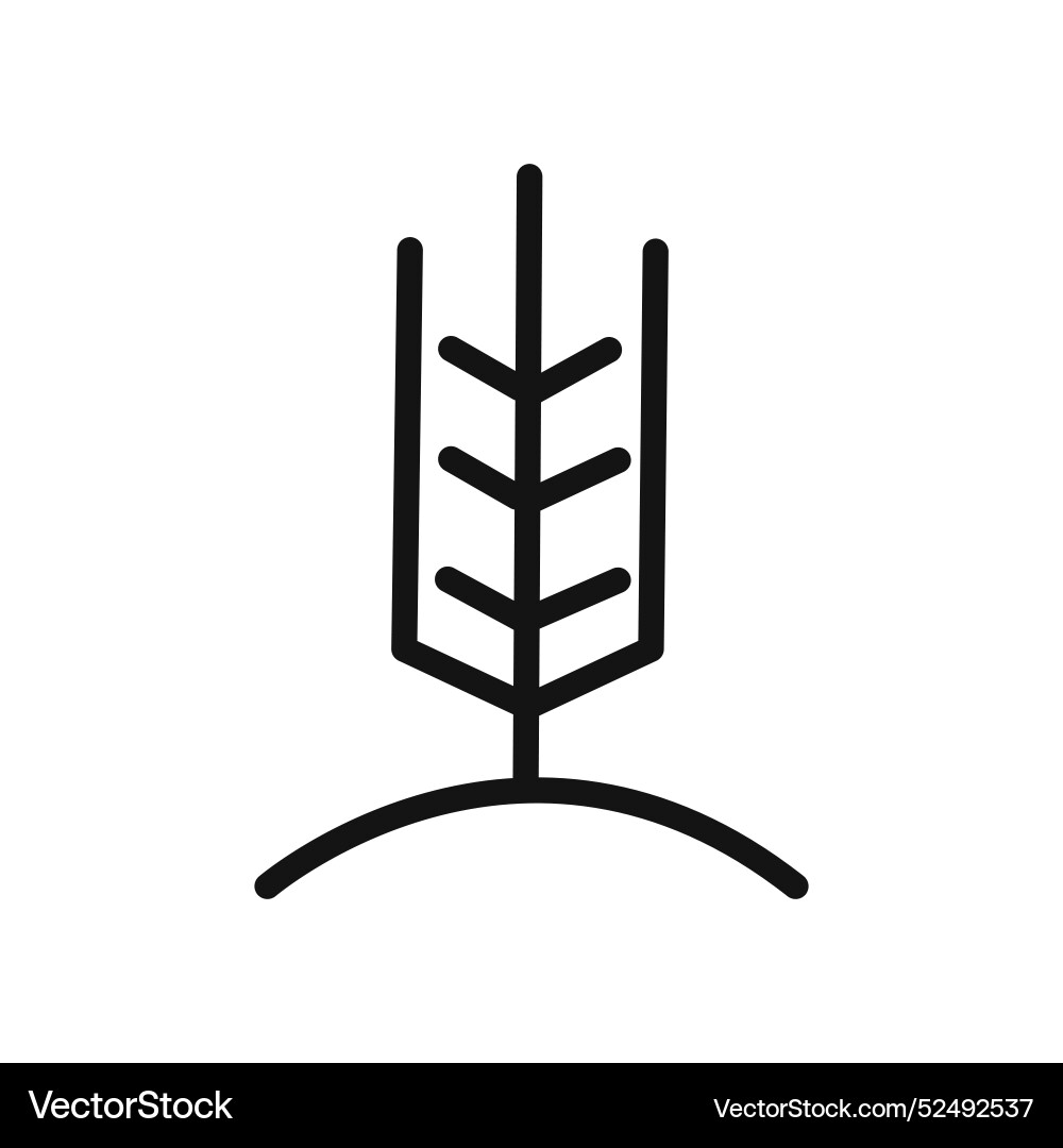 Rye icon linear graphics set Royalty Free Vector Image