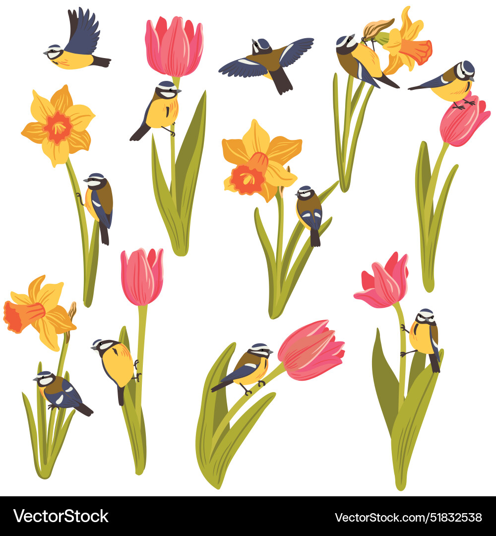 Drawing spring flowers and birds Royalty Free Vector Image