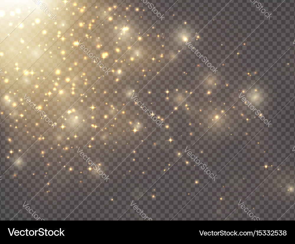Gold glittering star dust Royalty Free Vector Image