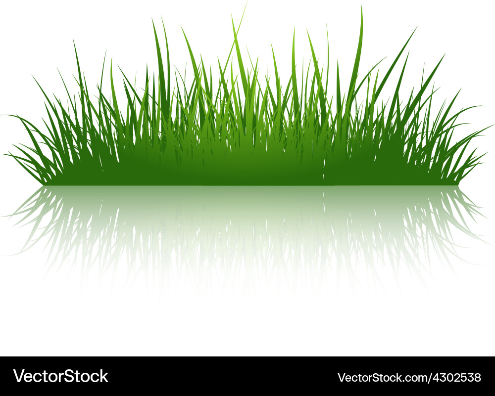 Green grass Royalty Free Vector Image - VectorStock