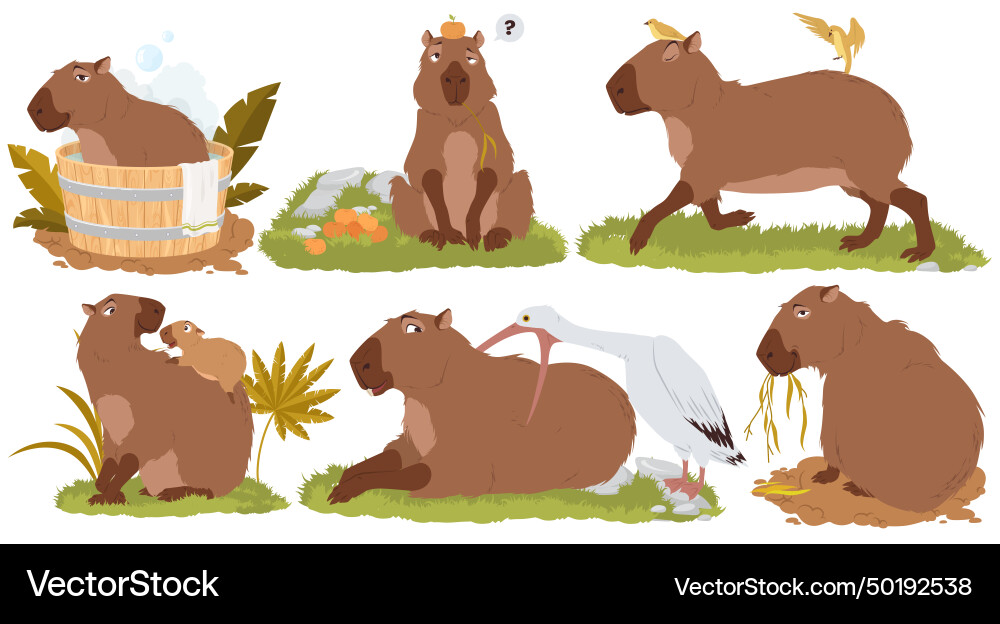 Happy capybara wild animal enjoying different fun Vector Image