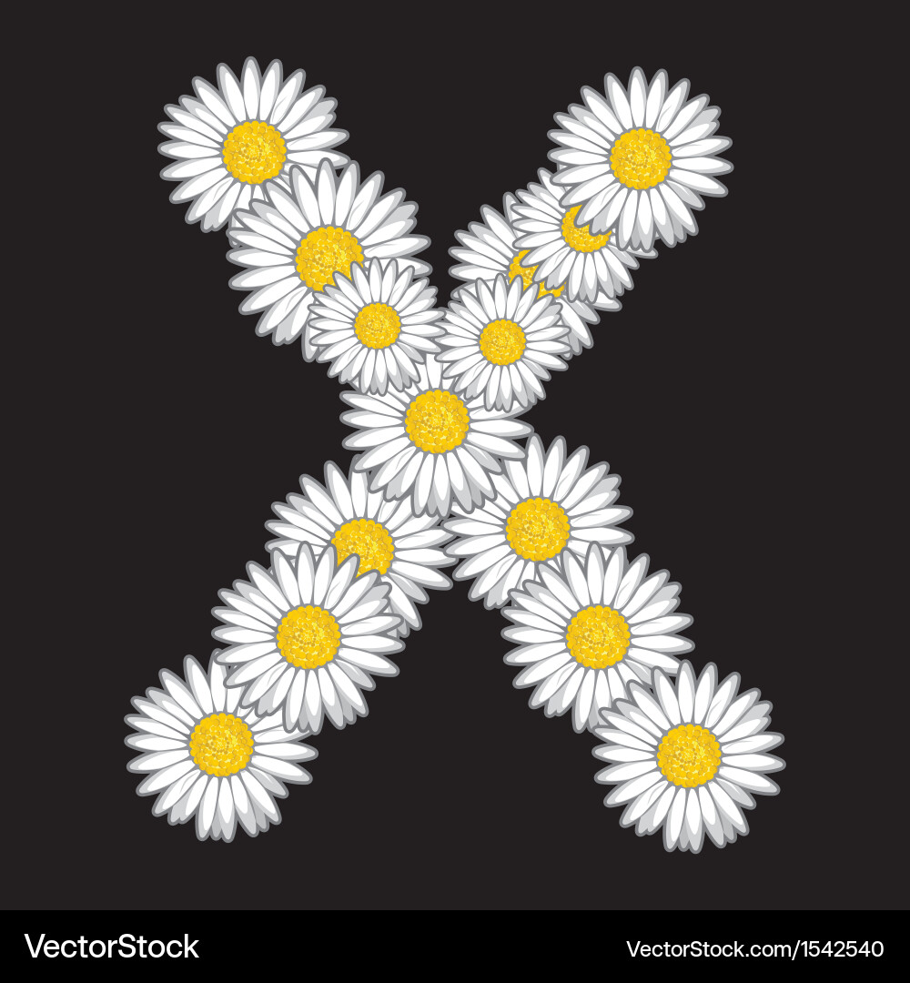 Daisy flower letter Royalty Free Vector Image - VectorStock