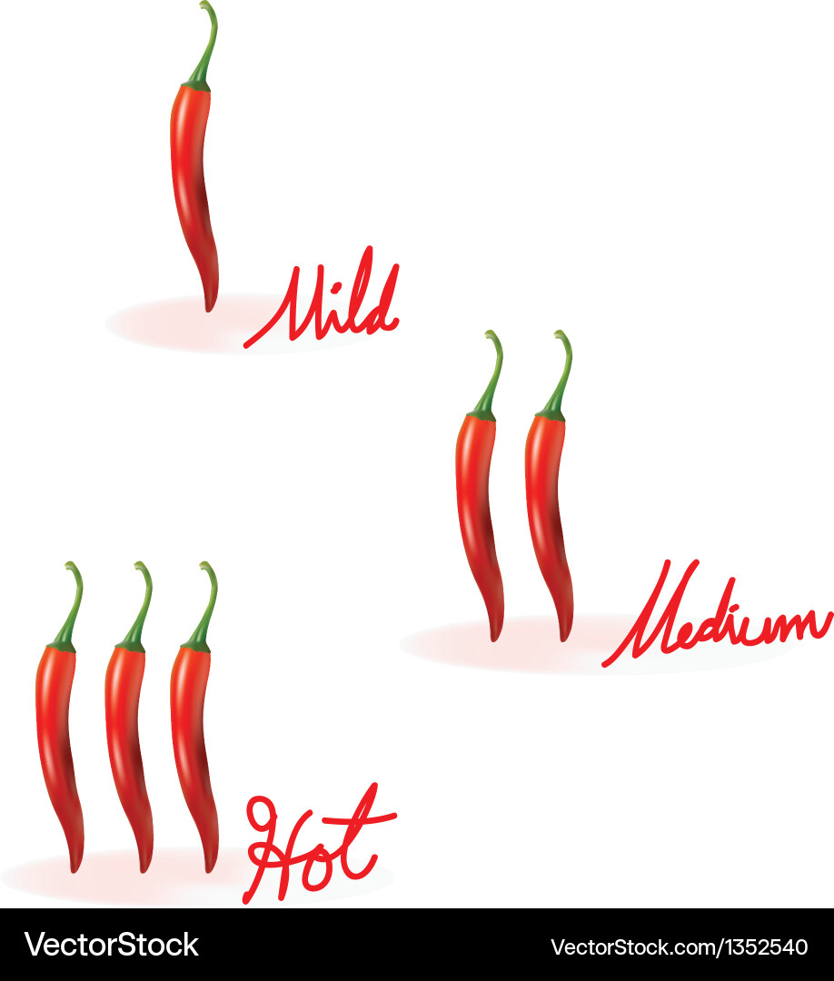 Red chilli heat guide Royalty Free Vector Image